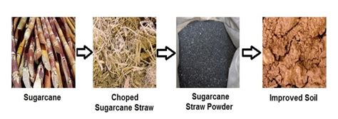 Develop Stabilize Expansive Soil With Sugarcane Straw Ash