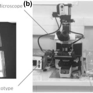 A Transparent Milli Fluidic Device B Experimental Setup With Optical