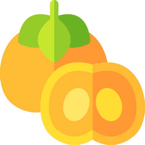 Persimmon Basic Rounded Flat Icon