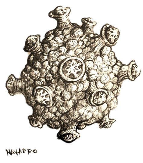 Ascomoid Mortal Arrow