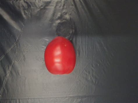 Custom Workflow Object Detection Object Detection Dataset By Tomat