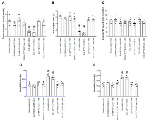 Combined Treatment Of Gyy4137 With Jwh 133 Inhibited The Anxiety And