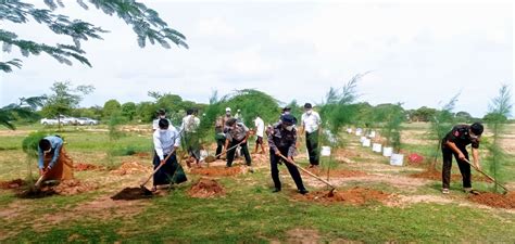 သာစည်မြို့နယ်သစ်တောဦးစီးဌာနက ပတ်ဝန်းကျင်စိမ်းလန်းစိုပြည်ရေး အမြင့်နှစ