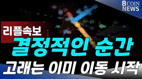 리플 결정적인 순간 Youtube