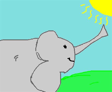 Elefante