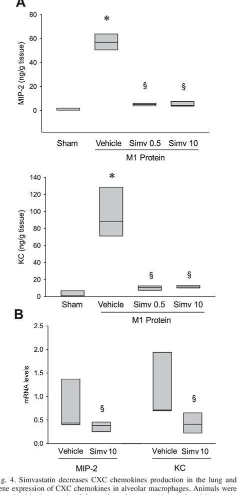 Figure 1 From Simvastatin Regulates Cxc Chemokine Formation In