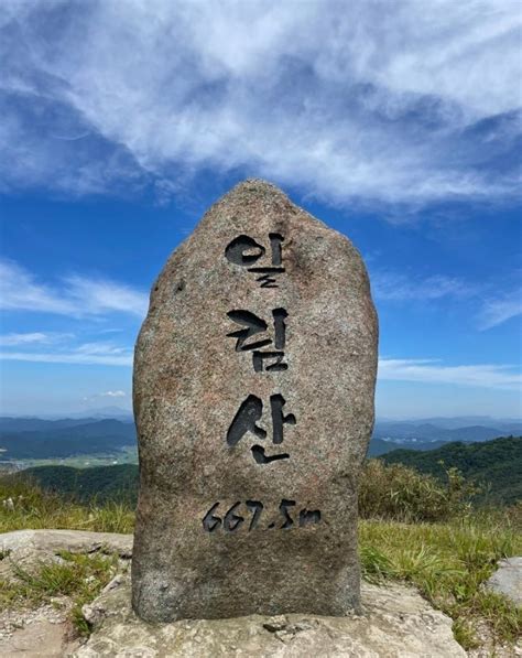 Daum 카페