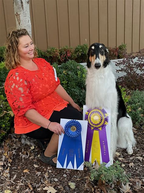 Borzoi Club Of Northern California 1 Saturday October 22 2022