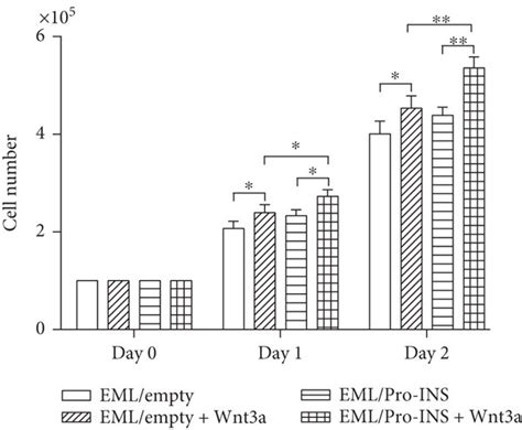 Synergistic Effects Of Proinsulin And Wnt3a On The Proliferation