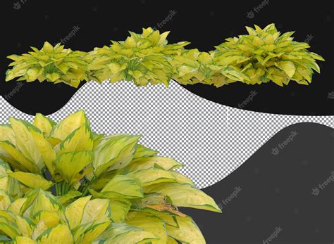 Premium Psd Various Types Of Flowers Plants Bushes Shrub And Small