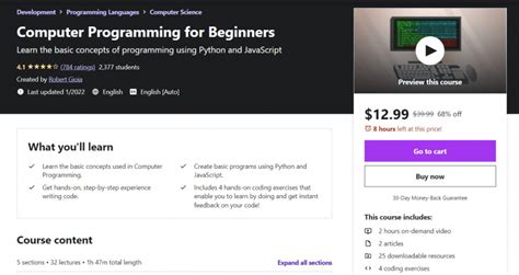 Top 10 Best Online Computer Programming Courses