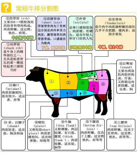 各部位牛肉的名称 word文档在线阅读与下载 无忧文档