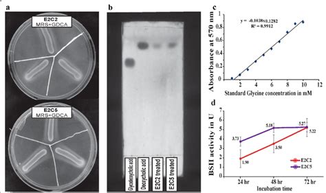 Bile Salt Hydrolase Activity Of Lactobacillus Plantarum E2c2 And E2c5