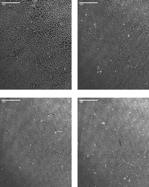 Figure 2 From Night Time Oxidation Of A Monolayer Model For The Air Water Interface Of Marine