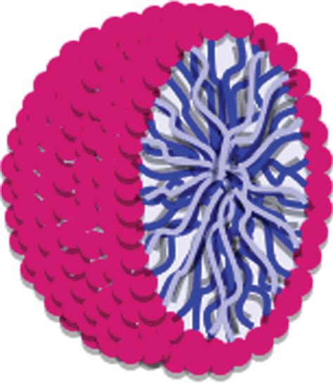 Shampoo Science A Review Of The Physiochemical Processes Behind The