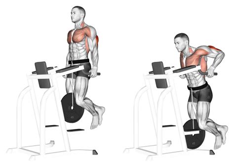 7 Best Bench Press Alternatives With Pictures Inspire Us