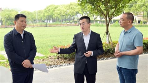 市委书记调研督导群众身边不正之风和腐败问题集中整治工作