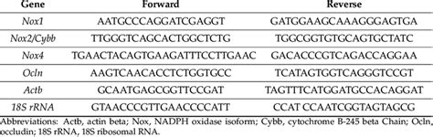Primer Sequences 5 → 3 Used For Real Time Pcr Amplifications