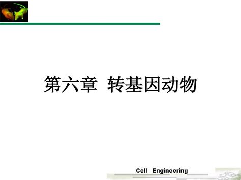 第6 转基因动物word文档在线阅读与下载无忧文档