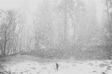 Snow Portraits Jaquilyn Shumate Photography Tacoma Portraiture