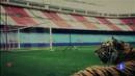 El Tigre Falcao Con Dos De Los Suyos Rtvees