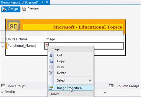Microsoft Business Intelligence Data Toolsssrs Read Images From