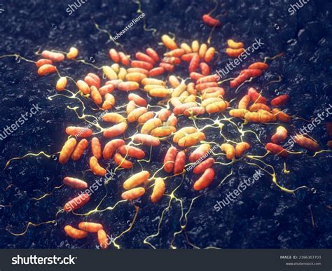 25 238 Image Of Plague Diseases Images Stock Photos Vectors
