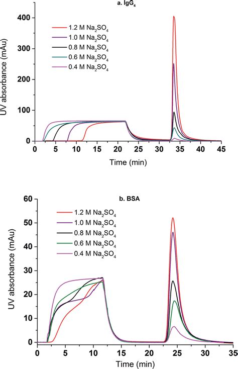 The Effects Of Na 2 So 4 Concentration On The Breakthrough And Elution