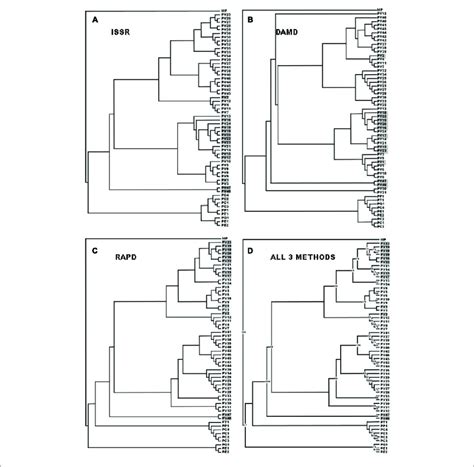 The Upgma Dendrogram With 1000 Replicate Bootstrap Analysis Based On