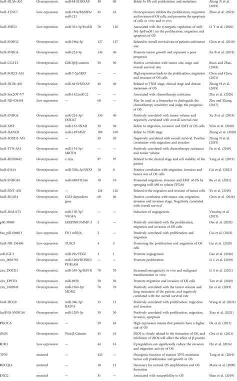 Frontiers Non Coding Rnas As Potential Biomarkers In Osteosarcoma