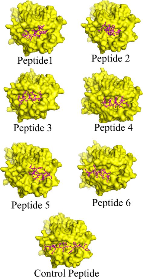 Md Simulations Were Carried Out In Gromacs V5 0 A Molecular Download Scientific Diagram