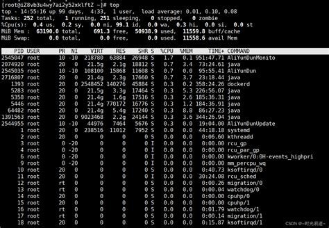 Lunux查找占用内存前10的进程