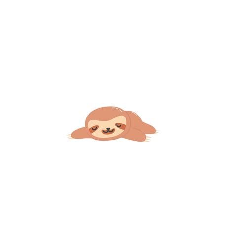 Premium Vector Lazy Sloth Sleeping Vector