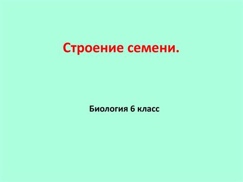 Строение семени Биология 6 класс презентация онлайн
