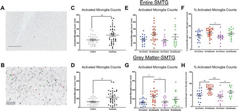 Association Between Apoe Genotype And Microglial Cell Morphology Pmc