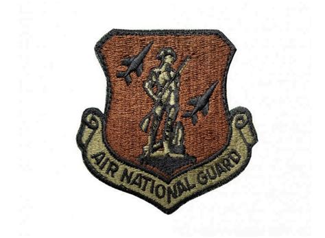 U S Air Force Air National Guard Ocp Spice Brown Patch With Hook