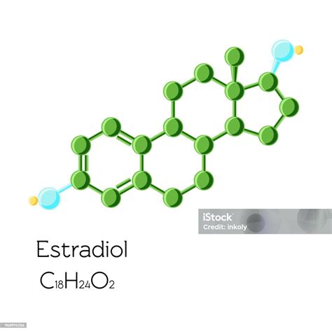 Vetores De Estradiol Hormona Estrutural Fórmula Química Isolada No