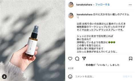 田原可南子高良健吾の彼女の現在の活動は？タレント業やインスタグラマー？ 主婦かりなの情報発信ブログ