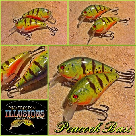 Peacock Bass Colleague Custom Fishing Lure Custom Lures Bass