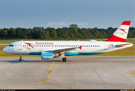 OE LBS Austrian Airlines Arrows Tyrolean Airbus A At Munich Photo ID Airplane