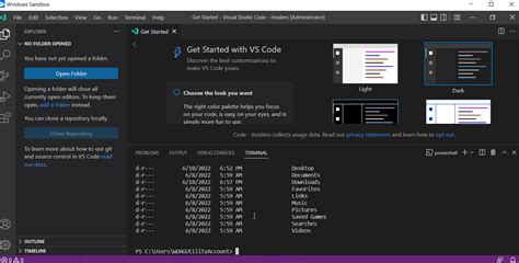 After Maximize Terminal Panel Size Some Text Disappeared From The