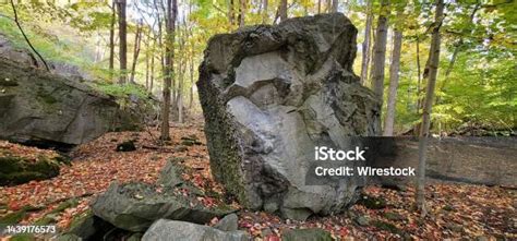 노랗고 붉은 잎이 있는 나이아가라 강 협곡 숲의 얼굴 바위 클로즈업 0명에 대한 스톡 사진 및 기타 이미지 0명 강 나무 Istock