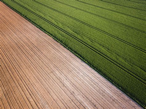 Best Drones For Crop Scouting In Todays Age Of Drone Agriculture