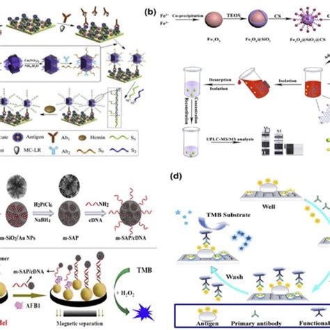 Pdf Nanozyme Based Sensors For Detection Of Food Biomarkers A Review