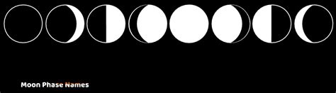 Moon Phases And Eclipses Diagram Quizlet