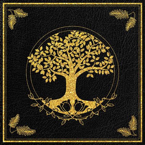 ‎eden Acoustic Single Album By Jervis Campbell Apple Music