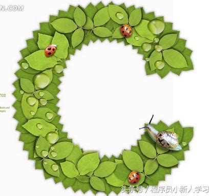 C 語言常量 每日頭條