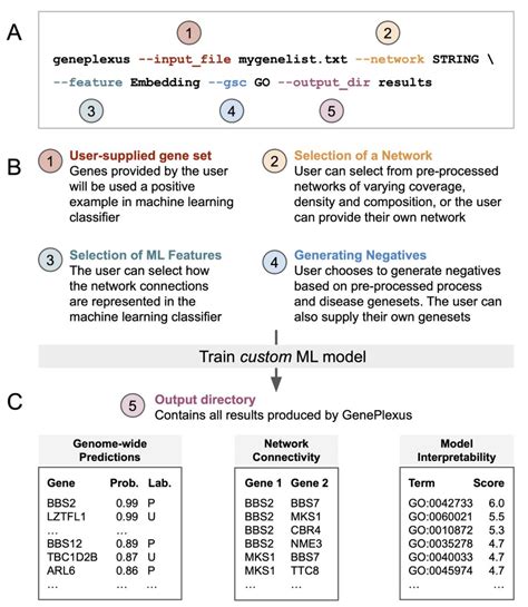 antisense on twitter pygeneplexus a python package for gene
