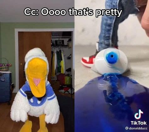 7 Donald Duck Ideas Funny Dude Some Funny Videos Really Funny Memes