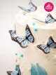 Kelebek Naked Cake